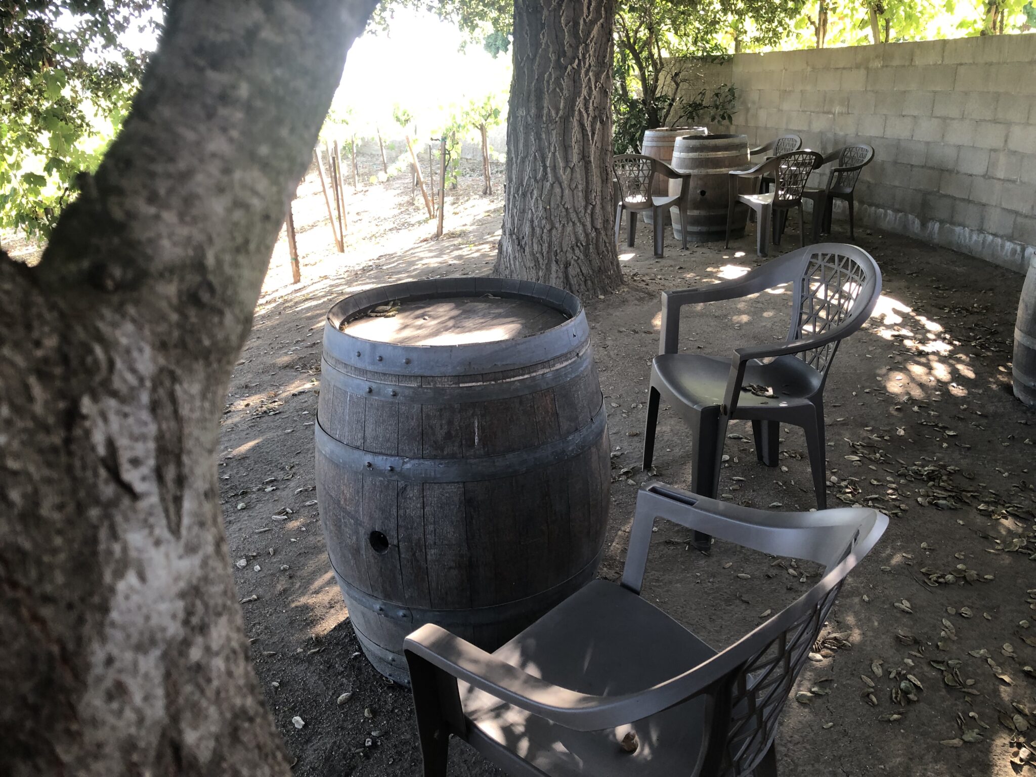 Toasted Oak Vineyards & Winery